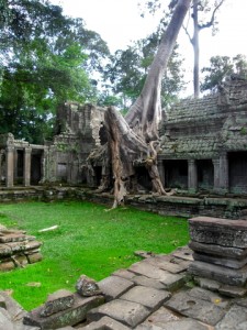 Templo Ta Prohm | La Vuelta al Mundo, viajes y curiosidades
